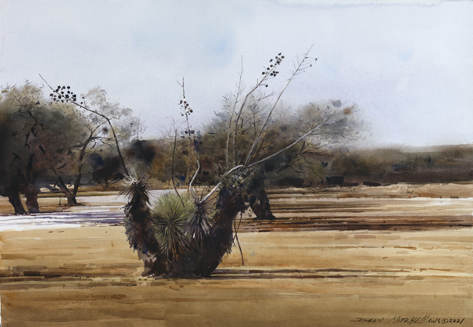 Watercolors – Dean Mitchell's Marie Brooks Gallery